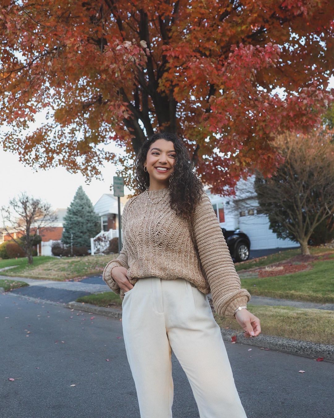 Women's Fall Sweaters 2024: 23 Ideas for Outfits, Dresses, Skirts & Vests